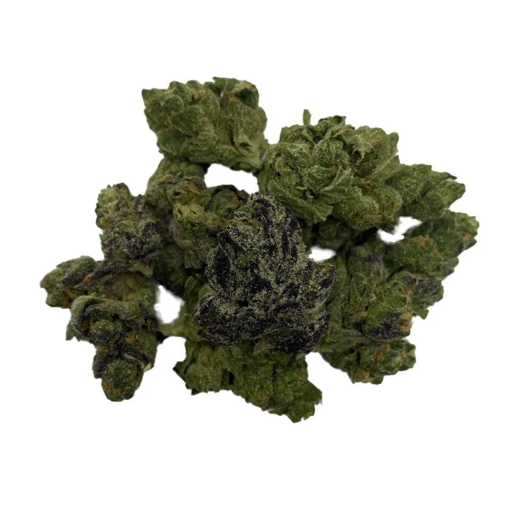 Flowers – Chyll.com