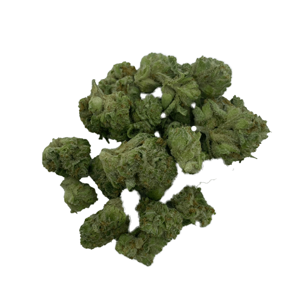 Flowers – Chyll.com