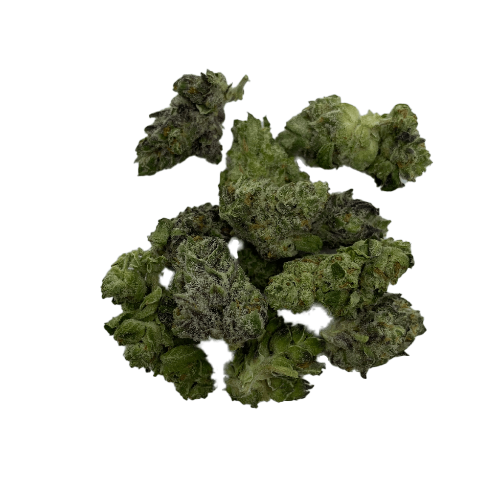 Flowers – Chyll.com