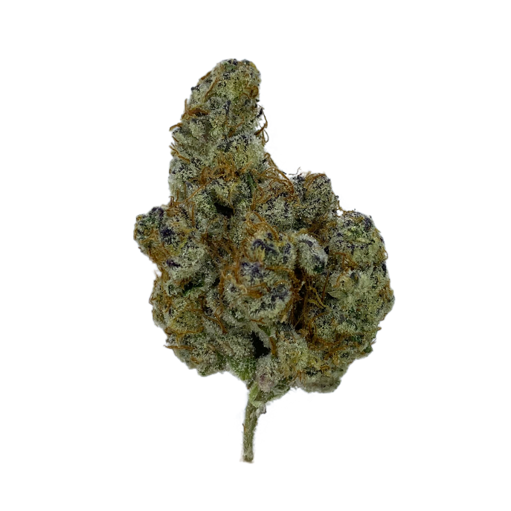 Flowers – Page 5 – Chyll.com