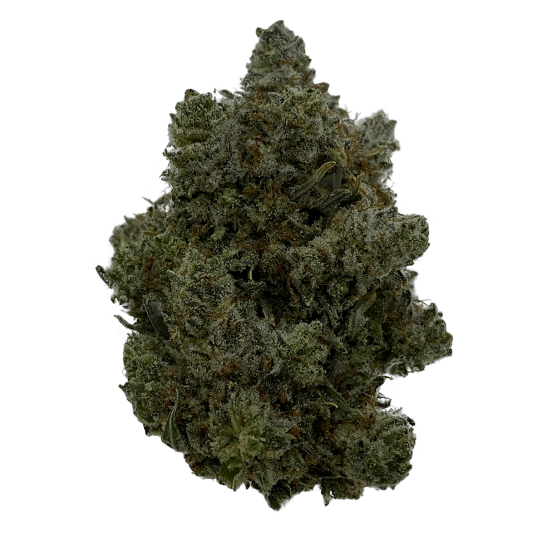 Flowers – Page 5 – Chyll.com