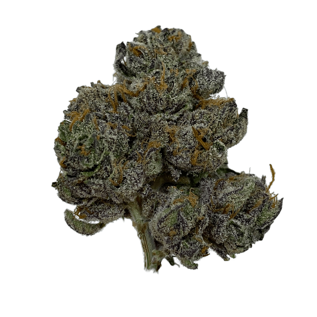 Flowers – Chyll.com