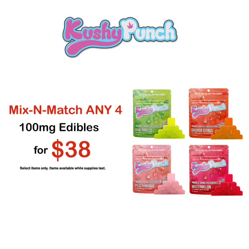 Bundle Deals – Chyll.com