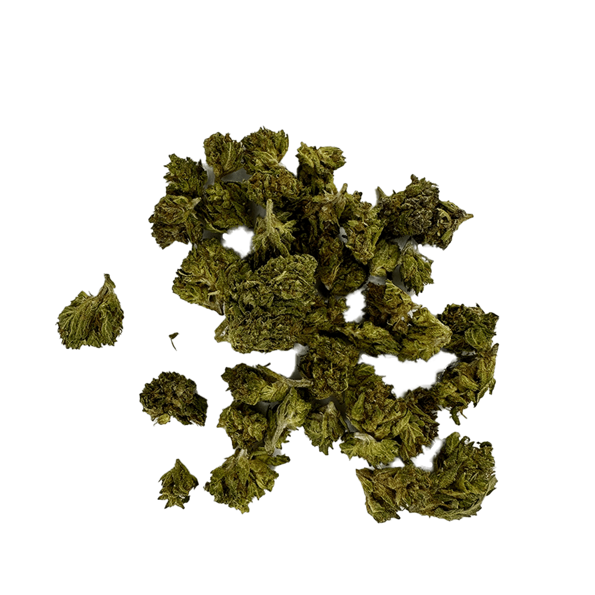 Flowers – Chyll.com