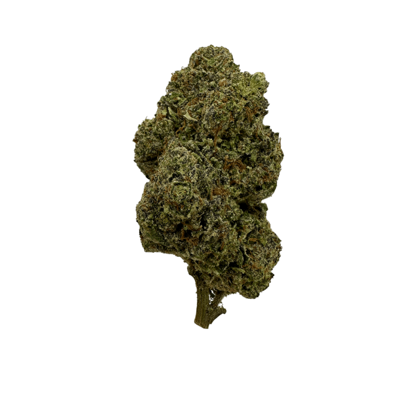 Flowers – Page 5 – Chyll.com