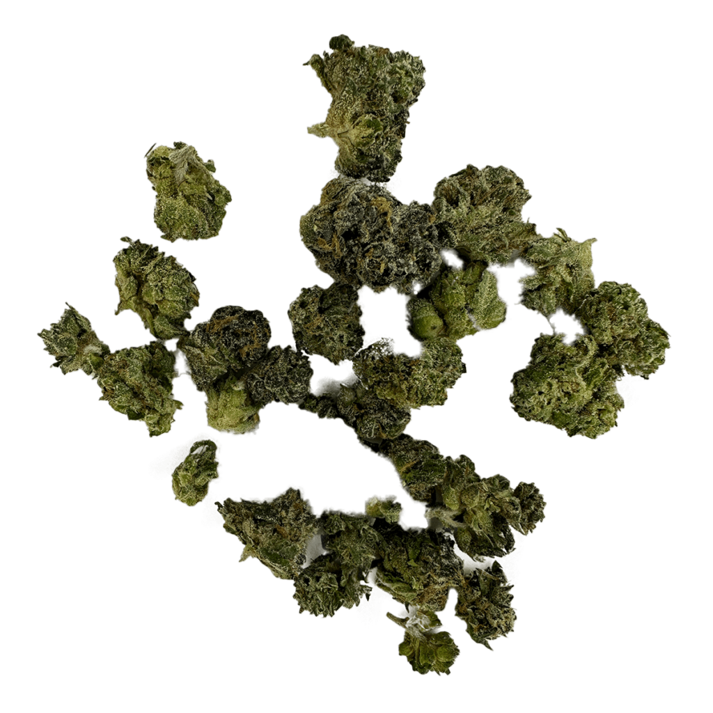 Flowers – Chyll.com