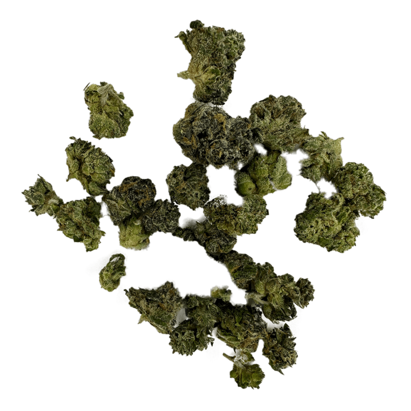 Flowers – Chyll.com